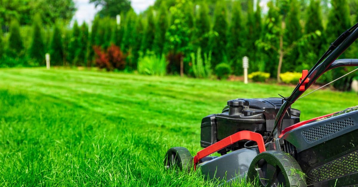 Grass Cutting Service Near Me | Quick & Reliable